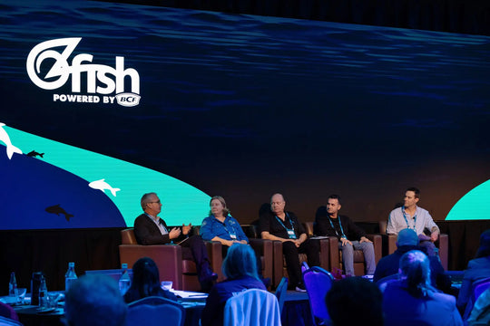 Leading the Tackle Evolution – WISE ANGLER